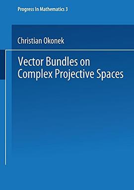 Vector Bundles on Complex Projective Spaces - 经济金融数学专区 - 经管之家(原人大经济论坛)